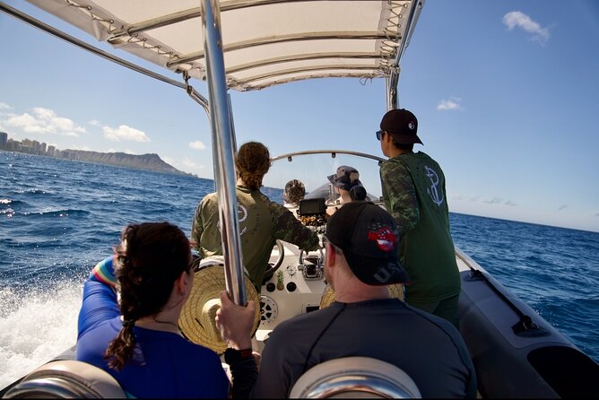 Turtle Canyon Snorkel: Semi Private Boat Tour - Who Will Love This?