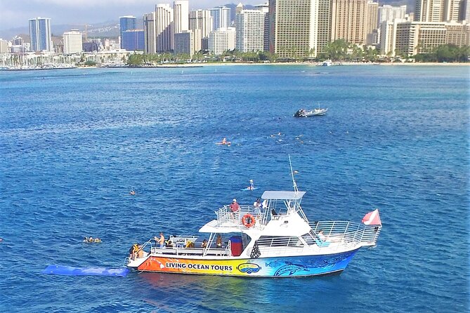 Turtle Canyons Snorkel Excursion from Waikiki, Hawaii - Why This Tour Works