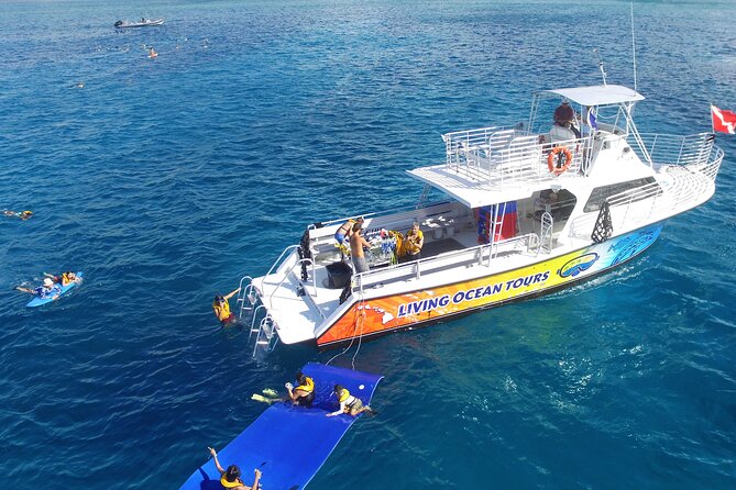 Turtle Canyons Snorkel Excursion from Waikiki, Hawaii - The Logistics – What You Need to Know