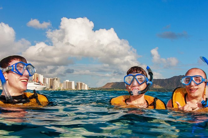 Turtle Canyons Snorkel Excursion from Waikiki, Hawaii - What the Reviews Say