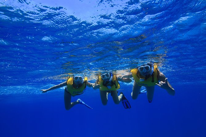 Turtle Canyons Snorkel Excursion from Waikiki, Hawaii - FAQ