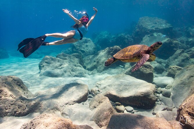 Turtle Gardens West Maui Snorkel Tour - What Makes the Turtle Gardens Snorkel Tour Stand Out