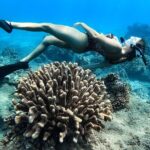 Turtle Gardens West Maui Snorkel Tour - Authentic Encounters and Expert Guides