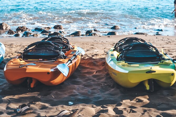 Turtle Gardens West Maui Snorkel Tour - Who Will Love This Tour?