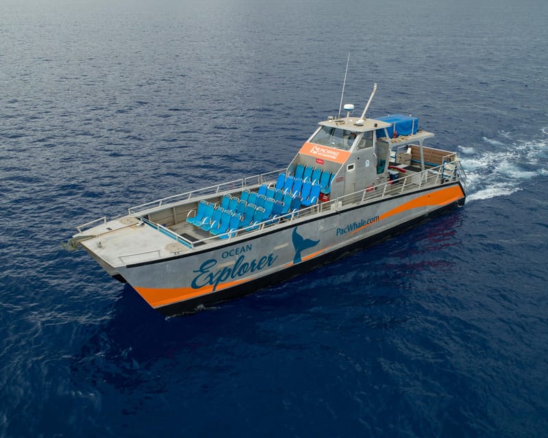 Turtle Reef Snorkel Adventure - Key Points
