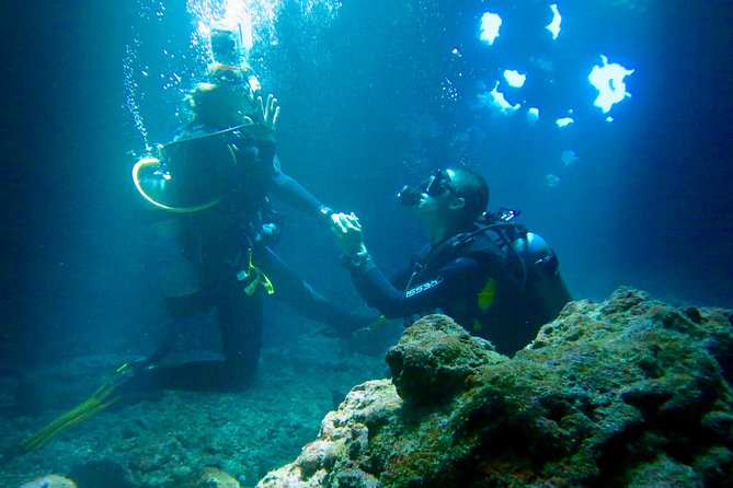 Turtle & Shark Scuba Dive in Lahaina: Certified - Exploring the Lahaina Scuba Tour