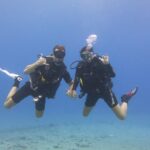 Turtle & Shark Scuba Dive in Lahaina: Certified - Practical Details & Tips