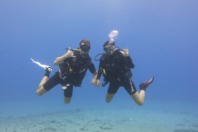 Turtle & Shark Scuba Dive in Lahaina: Certified - Practical Details & Tips
