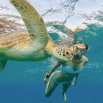 Turtle Snorkeling and Dole Plantation Guided Tour In Oahu - The Sum Up: Who Should Book This Tour?