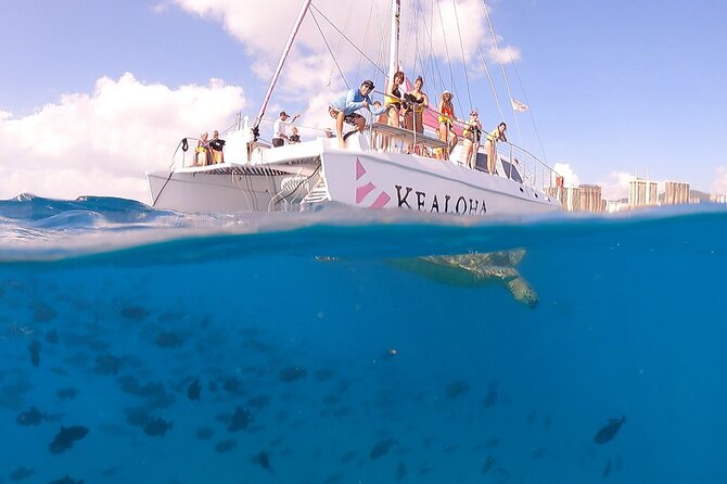 Turtle Snorkeling Boat Tour and Adventure in Waikiki - What We Learned From Reviewers