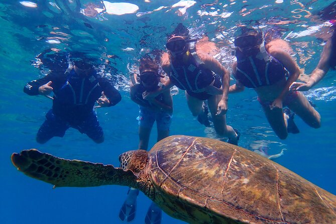 Turtle Town Beach Snorkel - Key Points