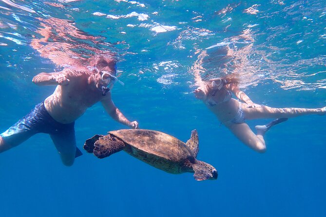 Turtle Town Beach Snorkel - What to Expect from the Turtle Town Beach Snorkel Tour