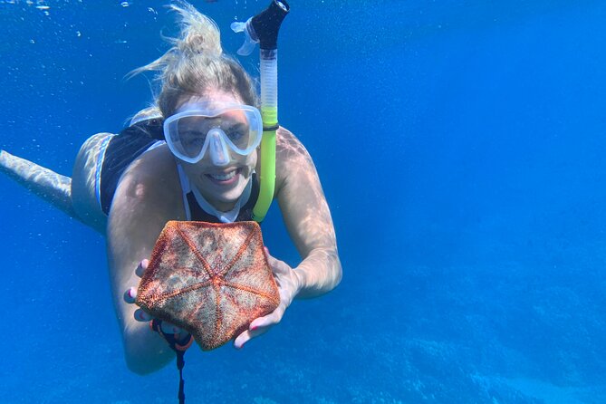 Turtle Town Snorkel with Photo and Video - What Is the Experience Like?