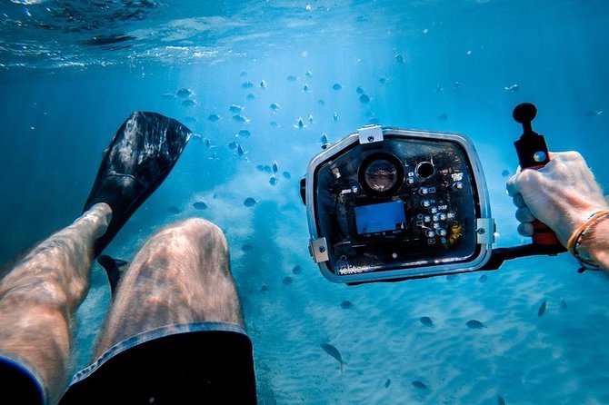 Turtle Town Snorkel with Photo and Video - The Guide Experience: Knowledge, Patience & Humor