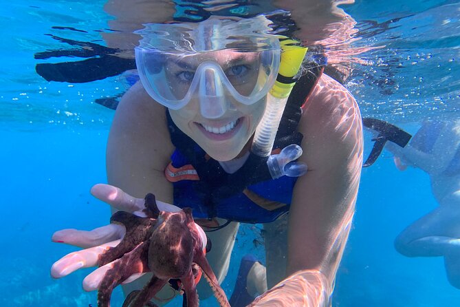 Turtle Town Snorkel with Photo and Video - What Makes This Tour a Great Choice?