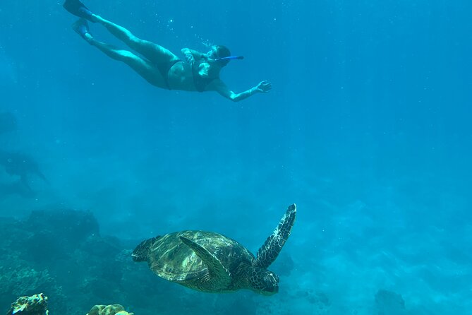Turtle Town Snorkel with Photo and Video - Things to Consider
