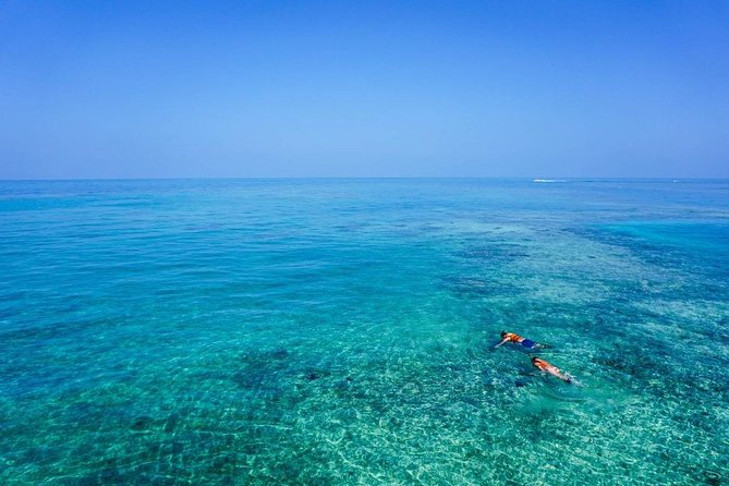 Turtle Town Snorkel with Photo and Video - FAQs