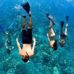 Turtles & Tacos Luxury Catamaran Snorkel - The Itinerary: What to Expect
