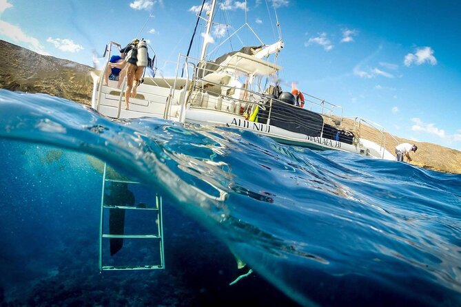 Turtles & Tacos Luxury Catamaran Snorkel - The Guides and Crew