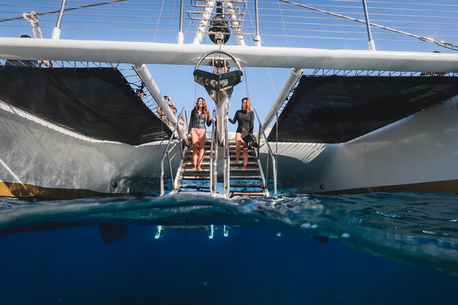 Turtles & Tacos Luxury Catamaran Snorkel - Comfort and Convenience