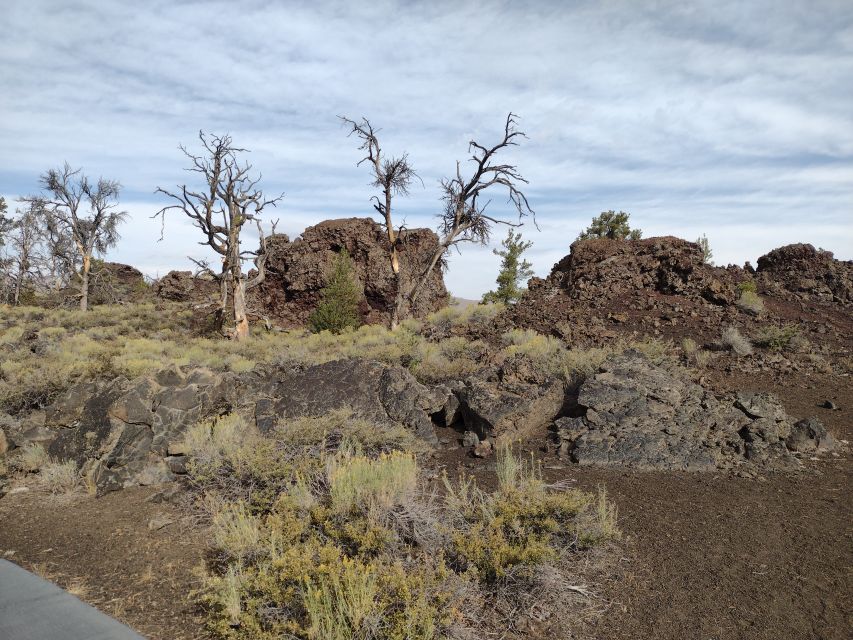 Twin Falls: Craters of the Moon Full-Day Tour with Lunch - A Deep Dive into the Experience