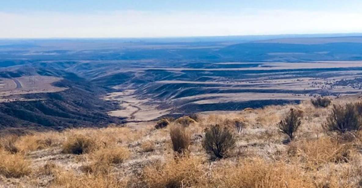 Twin Falls: Off the Beaten Path Guided Half-Day Tour - What to Expect and Practical Details