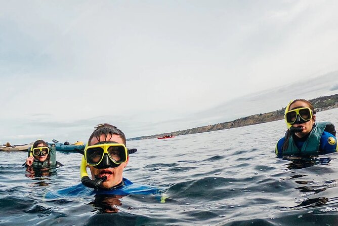 Two Hour Kayak and Snorkel Tour for Two in La Jolla - The Experience: A Deep Dive into What You’ll Love