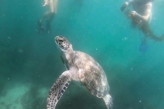 Two Hour Kayak and Snorkel Tour for Two in La Jolla - Who Is This Tour Best Suited For?