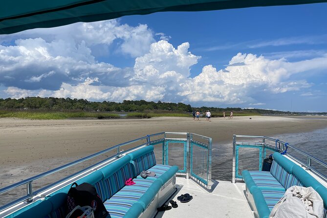 Two Hour Large Group Dolphin Tour - The Sum Up