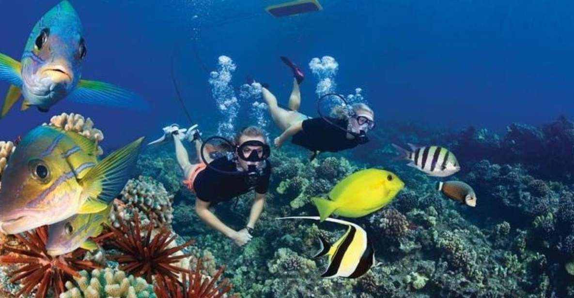 Two Stop Deluxe Molokini Snorkel - Exploring the Two Stop Deluxe Molokini Snorkel Tour