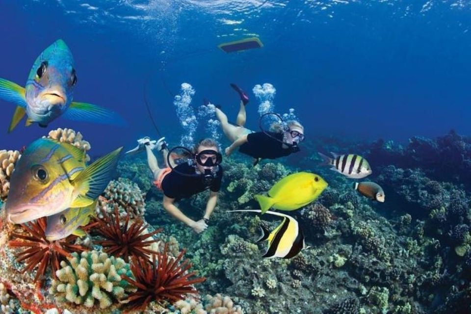 Two Stop Deluxe Molokini Snorkel - Key Points