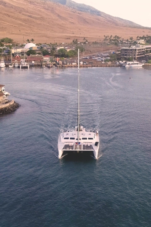 Two Stop Deluxe Molokini Snorkel - Final Thoughts