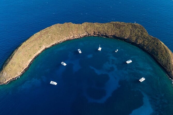 Two Stop Snorkel Adventure from Maui - What Makes This Snorkel Adventure Stand Out?