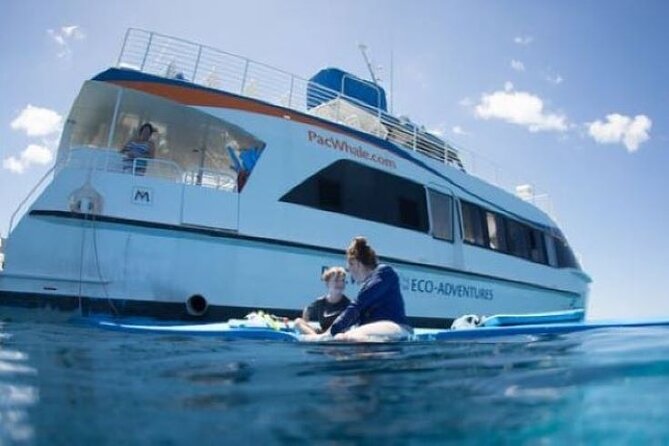 Two Stop Snorkel Adventure from Maui - Practical Tips for a Great Snorkel Day
