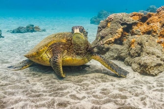 Two Stop Snorkel Adventure from Maui - Frequently Asked Questions