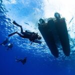 Two Tank Morning Reef Dive and Snorkel - Key Points