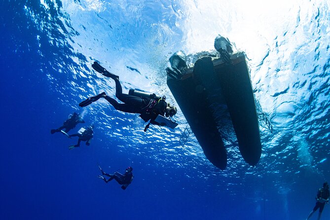 Two Tank Morning Reef Dive and Snorkel - Key Points