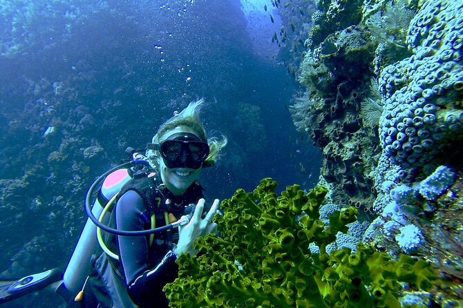 Two Tank Morning Scuba Dive - The Itinerary: What to Expect