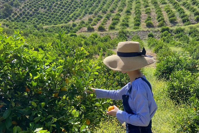 U-Pick - Tangerine and Lemon Picking at Sunmist Tangerine Farm - Why Choose This Citrus Picking Experience?
