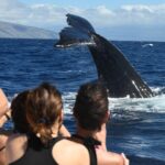 Ultimate 2 Hr Exclusive VIP Whale Watch Tour from Kaanapali Beach - Introduction
