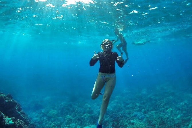 Ultimate 4 Hour Lanai Snorkel and Dolphin Encounter - The Sum Up