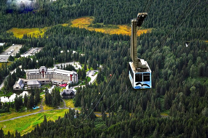 Ultimate Anchorage and Turnagain Arm Private Full Day Tour - Value and Practical Considerations