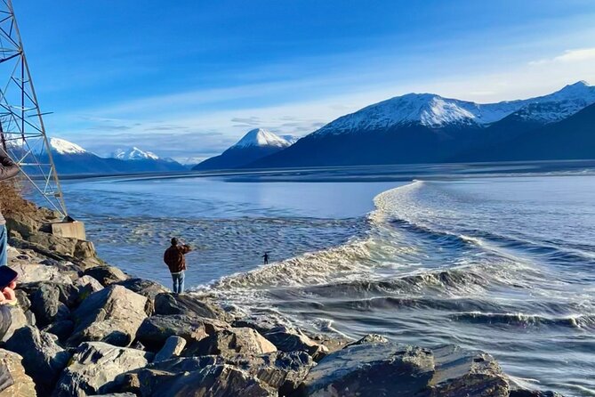 Ultimate Anchorage Summer Wildlife Tour - Deep Dive into the Itinerary