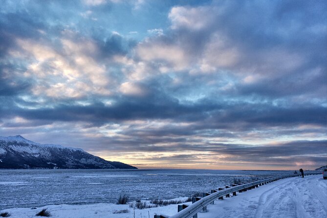Ultimate Anchorage Winter Wildlife & Sunset Tour - An Overview of the Tour Experience