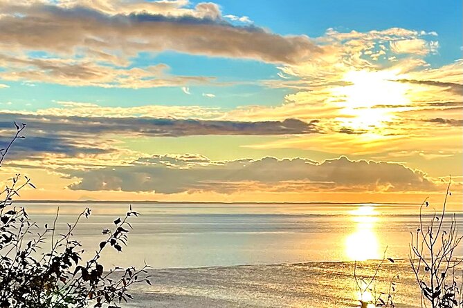 Ultimate Anchorage Winter Wildlife & Sunset Tour - Detailed Breakdown of the Itinerary