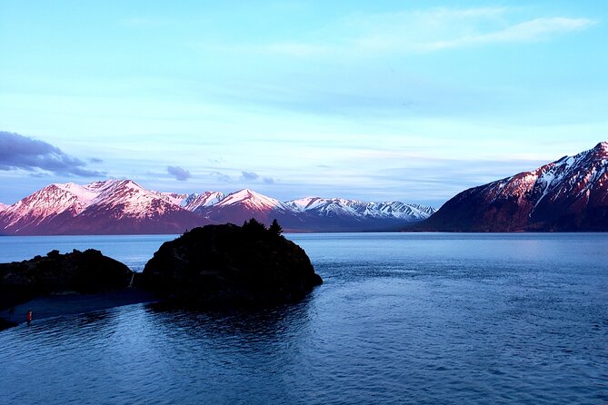 Ultimate Anchorage Winter Wildlife & Sunset Tour - Who Would Love This Tour?