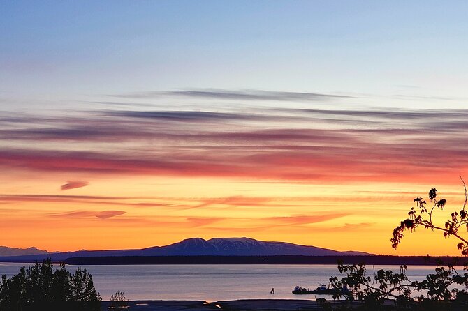 Ultimate Anchorage Winter Wildlife & Sunset Tour - FAQs