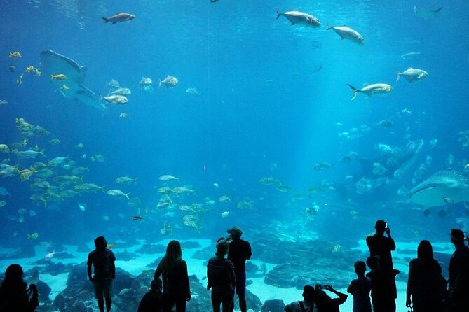 Ultimate Atlanta Walking Tour and Activities - Key Points