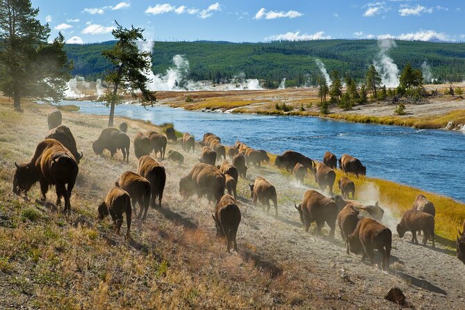 Ultimate Audio Tours: Yellowstone, Glacier, Grand Teton & Banff - FAQs