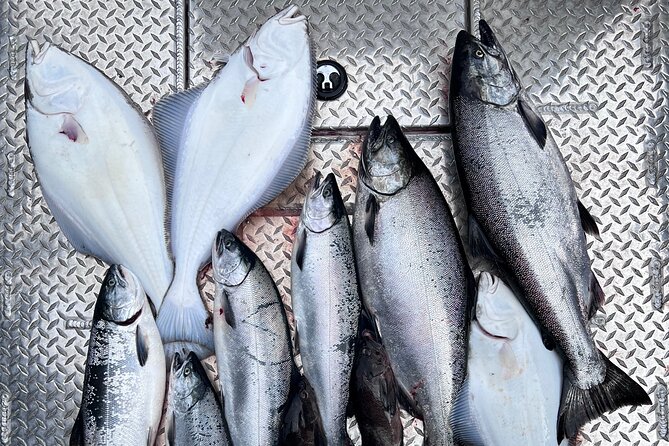 Ultimate Ketchikan Salmon and Halibut Fishing Adventure - An Honest Look at the Ultimate Ketchikan Salmon and Halibut Fishing Adventure